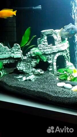 Декор для аквариума
