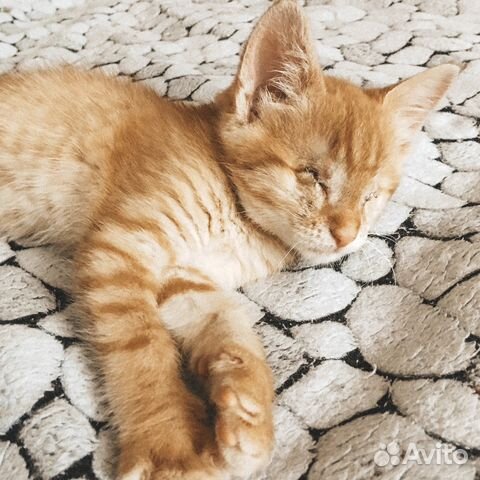 Особенный мальчик ищет дом