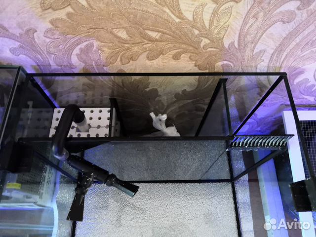 Морской аквариум 100 литров