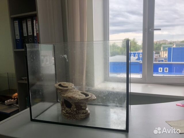 Аквариум, террариум