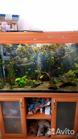 Аквариум 300 литров