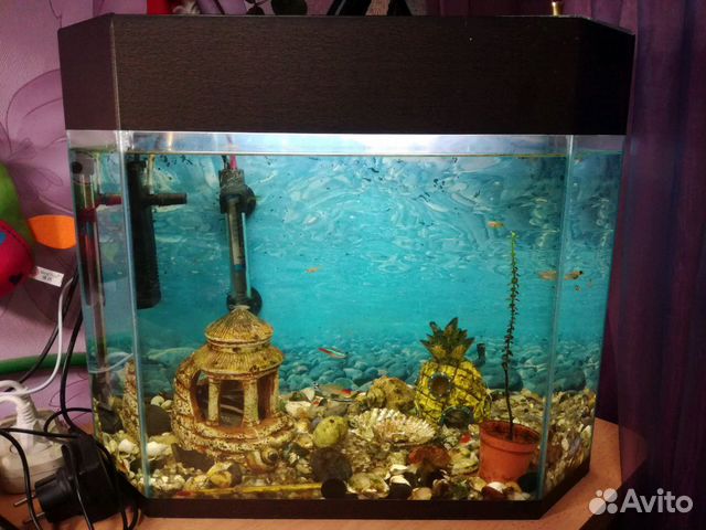 Аквариум 50 литров панорамный