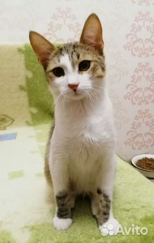 Малыш Фунтик, 6 месяцев