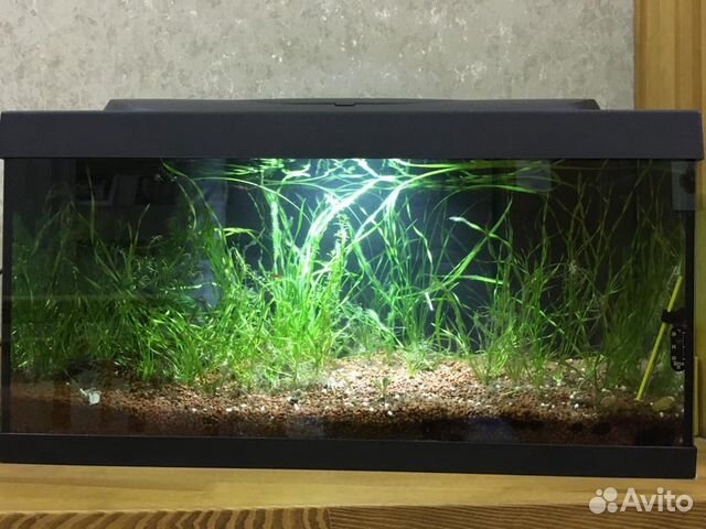 Аквариум Tetra 54 л