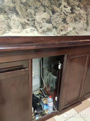 Морской аквариум, 1100 литров