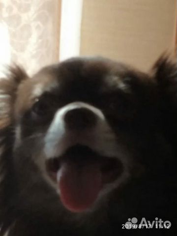 Шоколадный мальчик ищет девочку