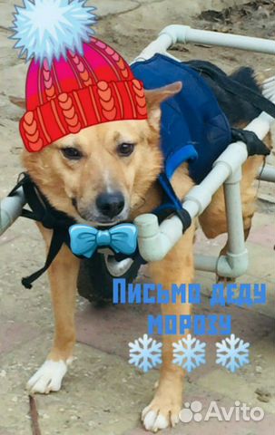 Ищу семью