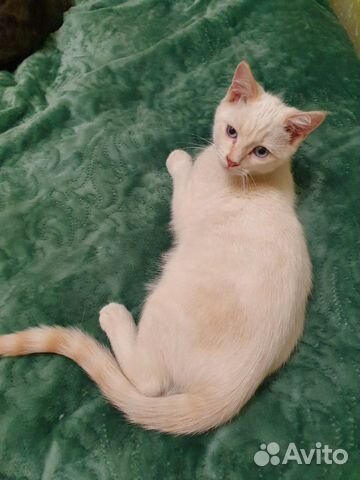 Невский маскарадный