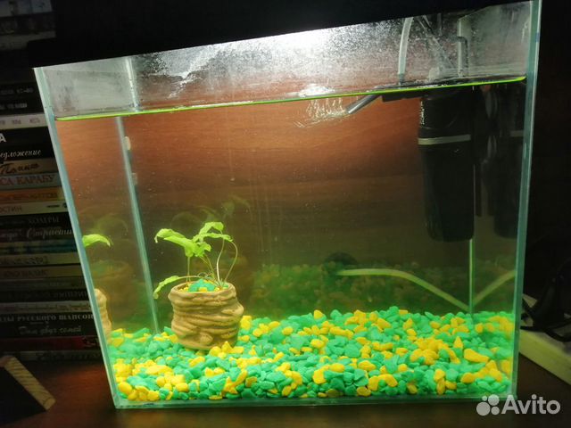 Аквариум