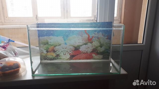 Аквариум