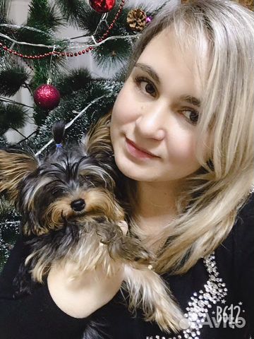 Йоркский терьер