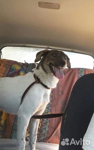 Девочка Бетси