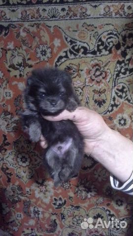 Кукольный малыш