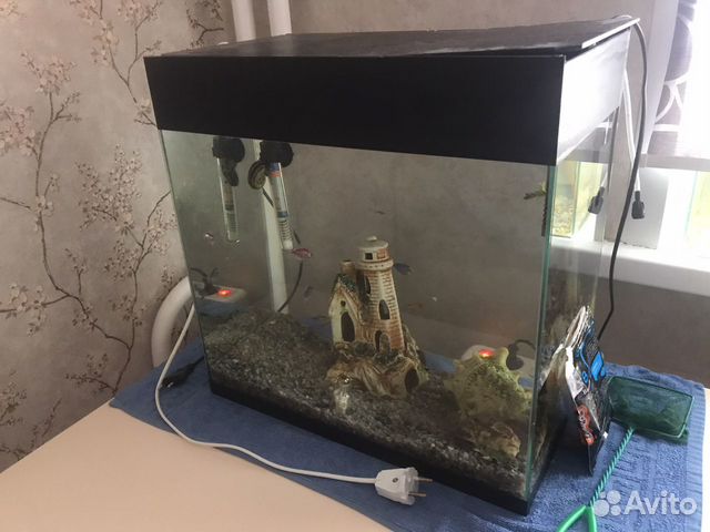 Аквариум 38 литров с рыбками