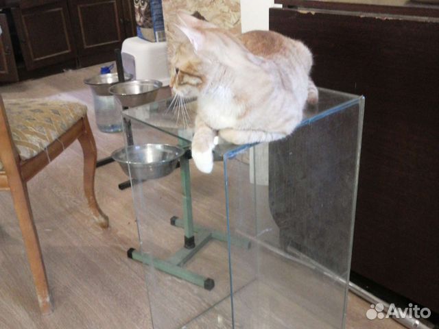 Аквариум бу