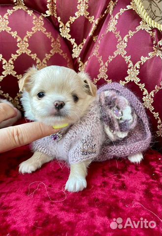 Волшебная Офелия