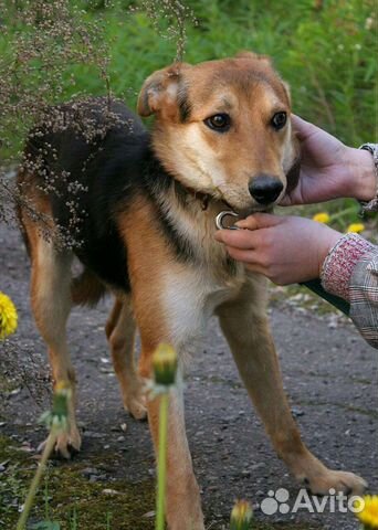Маркус ждет своего человека