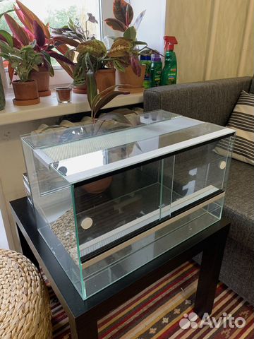 Террариум для рептилий