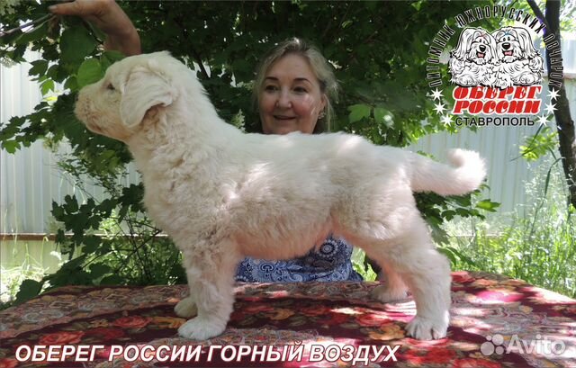 Пацан южак