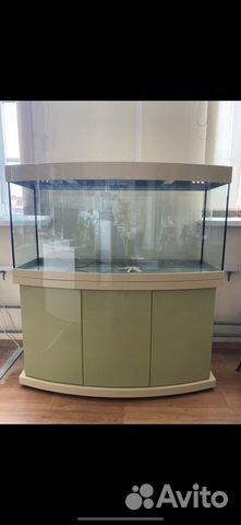 Аквариум панорамный на 270 литров фисташковый
