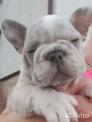 Огонь пацан