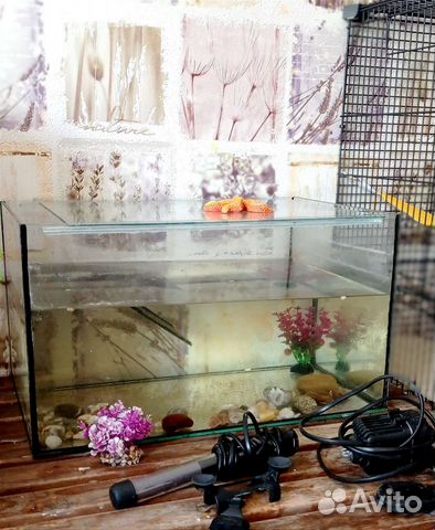 Террариум для черепахи