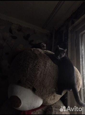Кошечка на вязка