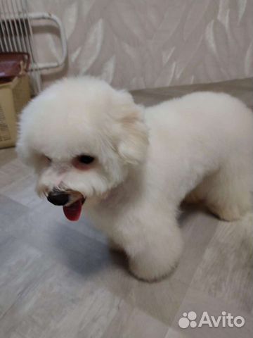 Мальчиш- Кибальчиш