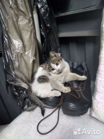 Спасенный с завода ребенок