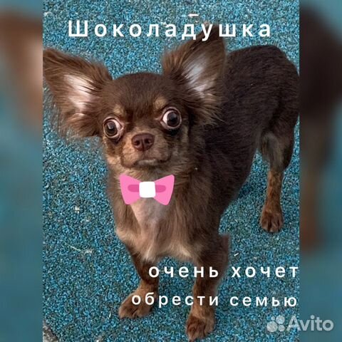 Крошечные мальчишки 9мес