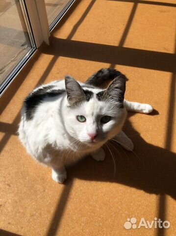 Самая уютная Мусёна