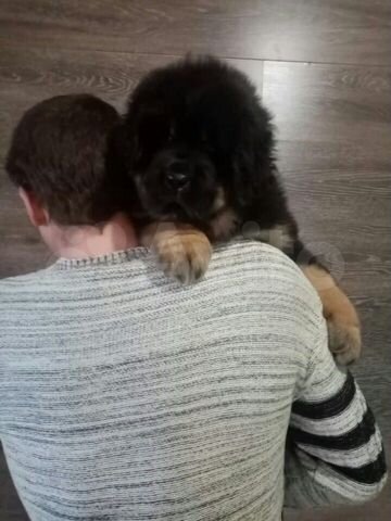 Бесподобная девочка