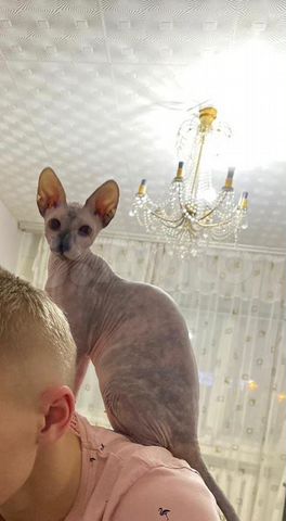 Ищем жениха