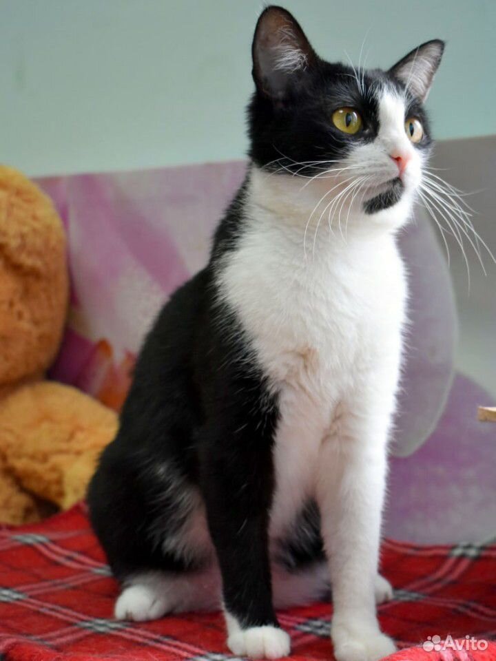 Добрая и ласковая Люся