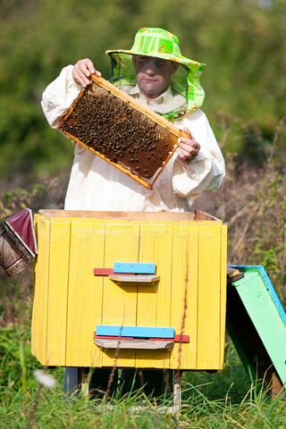 Рамки медовые, сушь